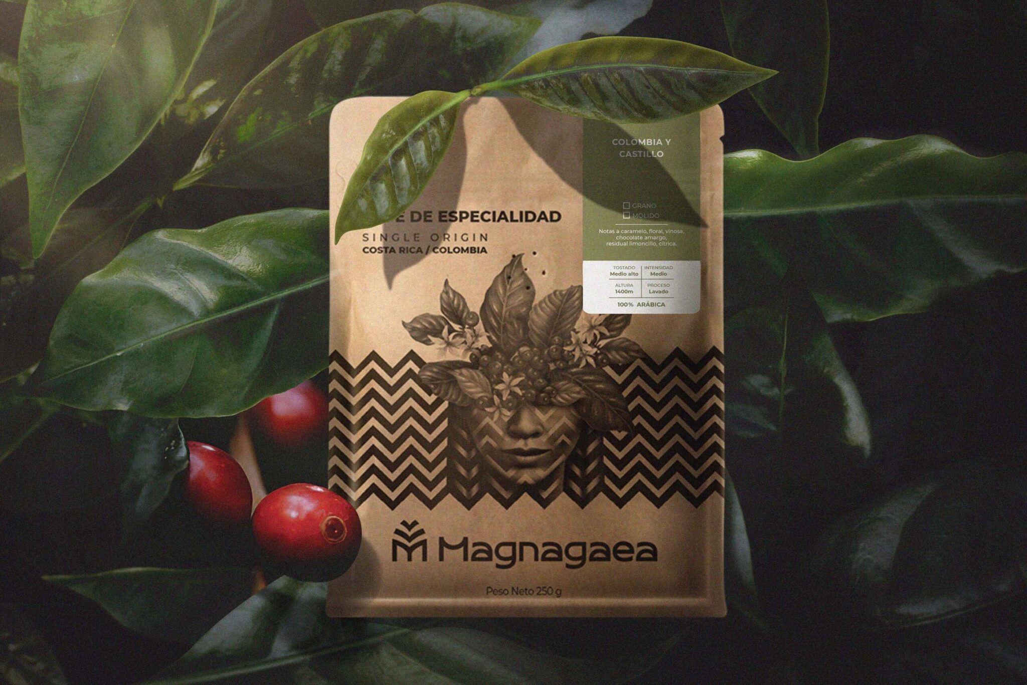 Creating An Organic Coffee Brand Identity: The Story Of Magnagaea